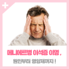 메니에르병 이석증 이명 원인 영양제 요법 네이버 블로그